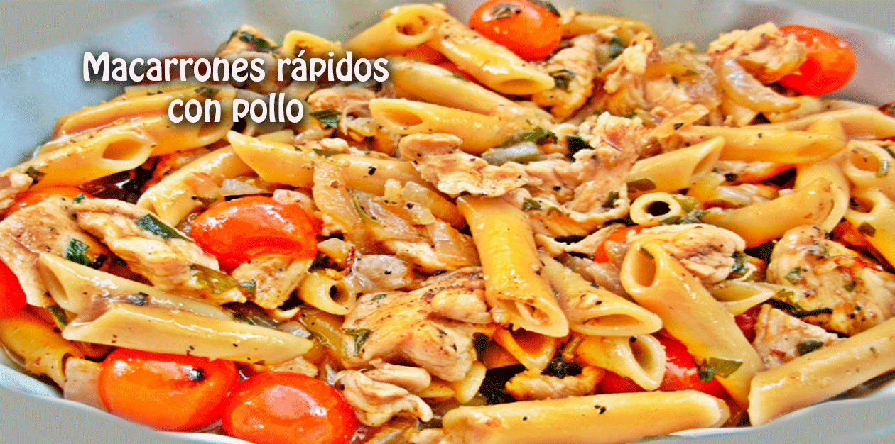 Macarrones con queso - Recetas de pastas, lasagnas y pizzas